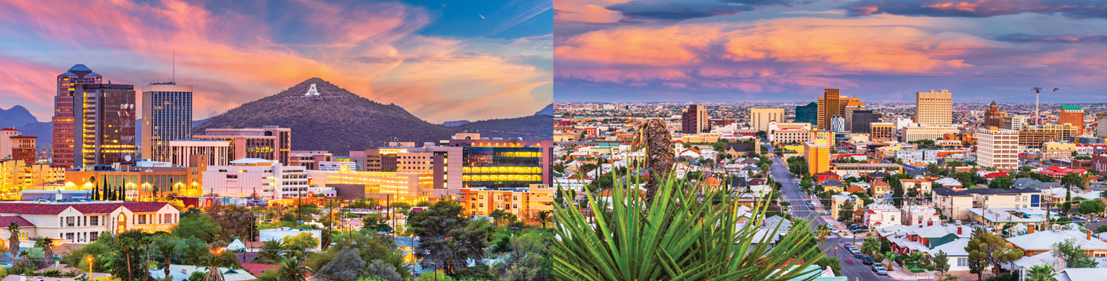 Arizona-Mexico